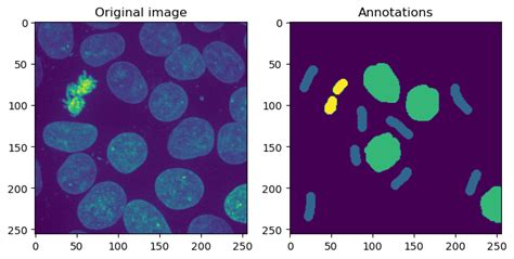 Using Random Forests For Pixel Classification Fabrizio Musacchio