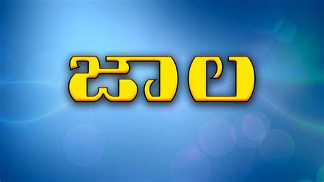 Jaala 2009 Full Movie Online Watch Hd Movies On Airtel Xstream Play