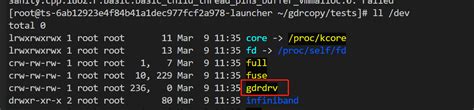 Failed Run Sanity Test In Docker Container Issue NVIDIA Gdrcopy GitHub