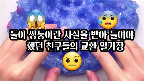 둘이 쌍둥이란 사실을 받아들여야 했던 친구들의 일기장 액괴일기액일일기장계 Youtube