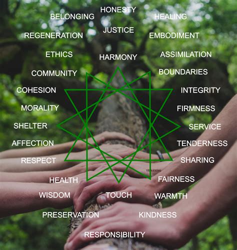 The Rayid Model Rayid