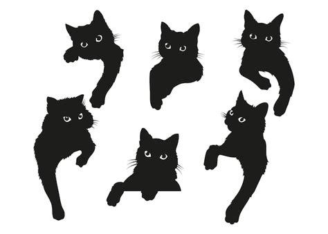 Conjunto De Gatos Negros Mirando Por La Esquina Colección De Dibujos