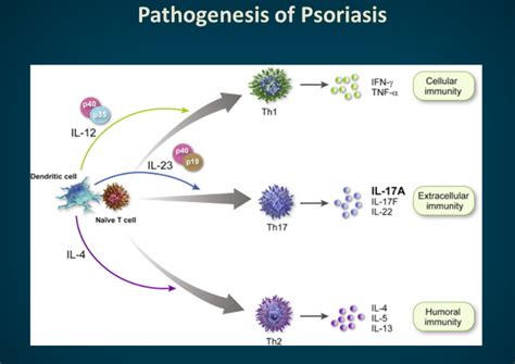 Epidemiology Psoriasis Thrive