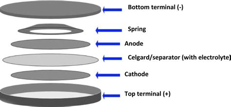 Schematic Architecture For The Fabrication Of Coin Cell Download