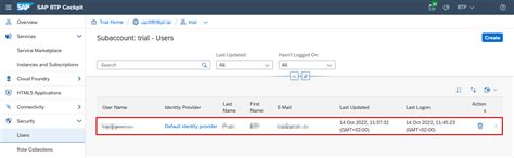 Access The SAP UI Theme Designer Neptune DXP Documentation