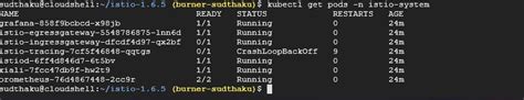 Timed Out Waiting For The Condition Deployment Istio System Istiod Issue Istio Istio