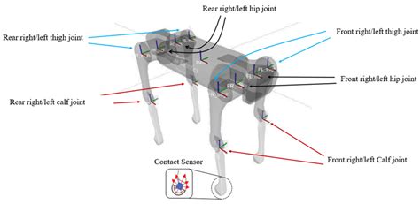 body joints on the quadruped robots to achieve locomotion download