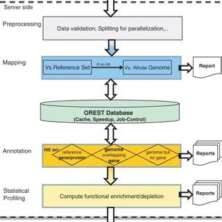 OREST Workflow OREST Accepts Multiple FASTA Files As Input Results