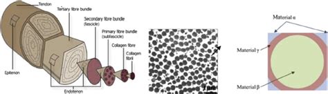 Microstructure Of A Periodic Cell Of A Composite Considered In The