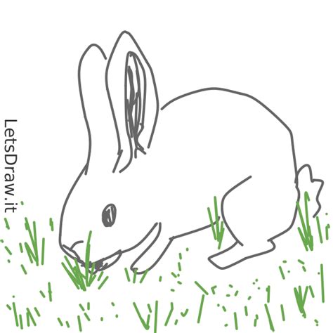 How To Draw A Bunny In The Grass