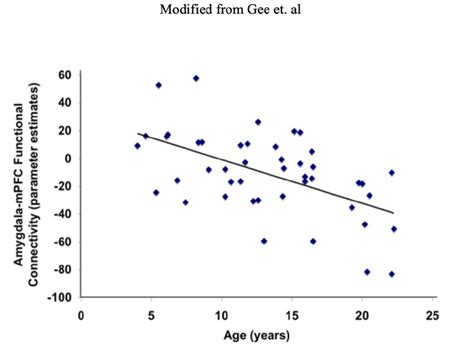 Graph Of Amygdala Medial Pfc Functional Connectivity As A Function Of