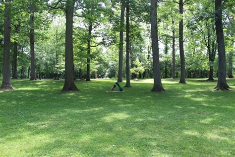 나무 근처에서 스트레칭하는 사람 사진 Unsplash의 무료 풀 이미지