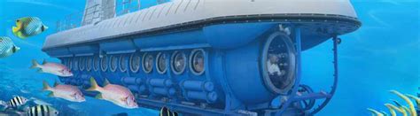 Cozumel Atlantis Submarine Cozumel Submarine Tours