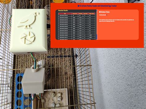 Iot Ai Poultry Feeder And Egg Tracker Optimize Egg Production Dfrobot