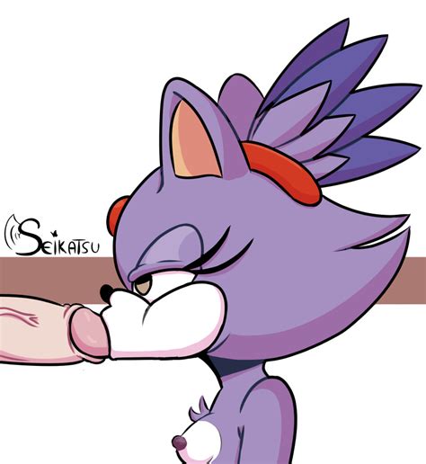 Rule 34 Artist Logo Artist Name Artist Signature Blaze The Cat Blowjob Furry Mobian Species