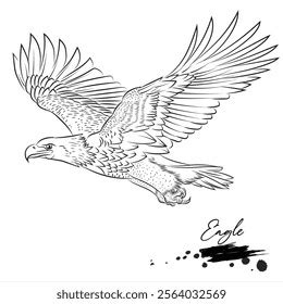 How To Draw A Realistic Eagle Flying