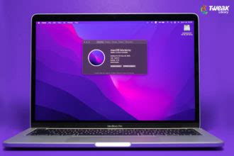 How To Ensure That Your Mac Runs The New MacOS Monterey Smoothly