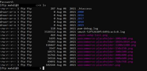 The Best Complete Lftp Command Tutorial Dade