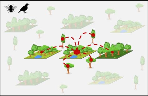 New Paper The Urban Ecologist