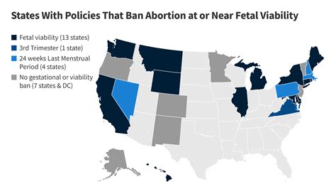 8 Week Aborted Fetus