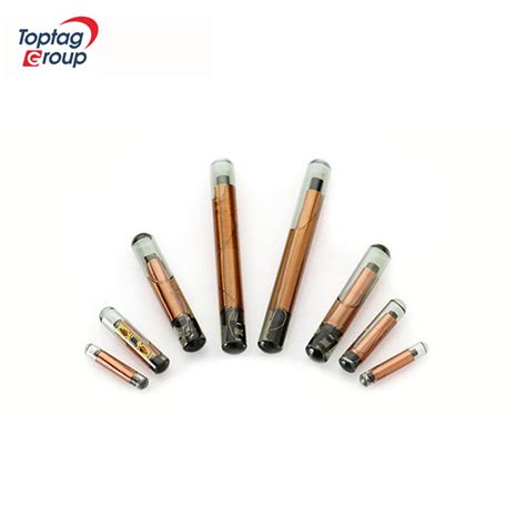 Animal Implanted Chips Small Chips Play A Big Role Animal Rfid