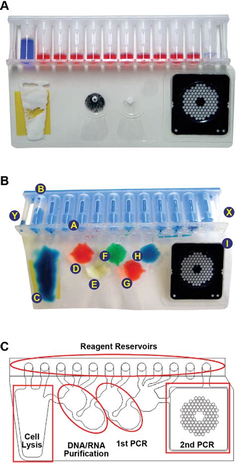 Figure 1 From Filmarray An Automated Nested Multiplex Pcr System For