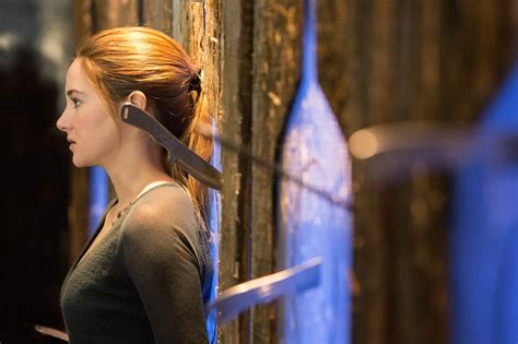 The Divergent Life Fan Sites Countdown To Divergent We Recap