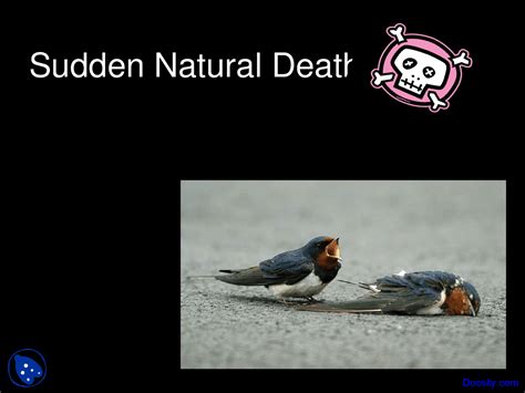 Sudden Natural Death Forensic Experiments Lecture Slides Slides