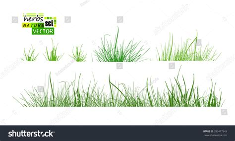 Set Grass Vector Stock Vector Royalty Free 393417949 Shutterstock