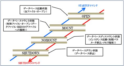 Oracleデータベースの起動方法 データベース研究室
