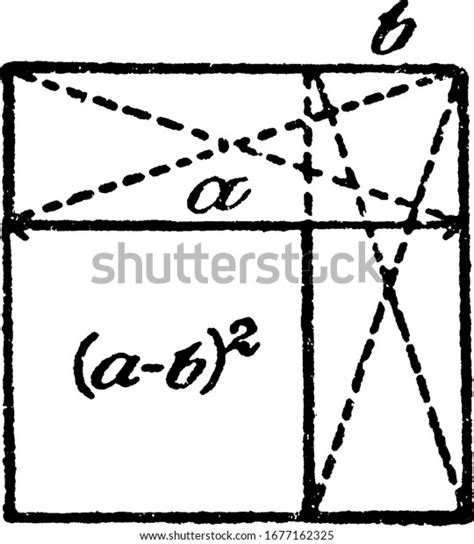 Illustration Showing How Square Binomial B Stock Vector Royalty Free 1677162325 Shutterstock