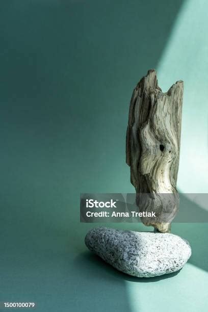 전시회 및 제품 발표를 위한 연단 재료 돌 나무 천연 소재로 만든 아름다운 녹색 배경 추상적인 자연 장면과 구성 제품