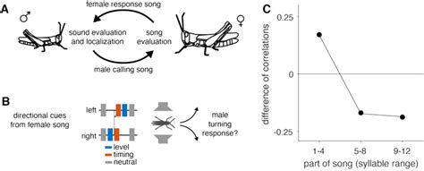 Performance Of A Simple Averaging Model Compared To Male Behavior