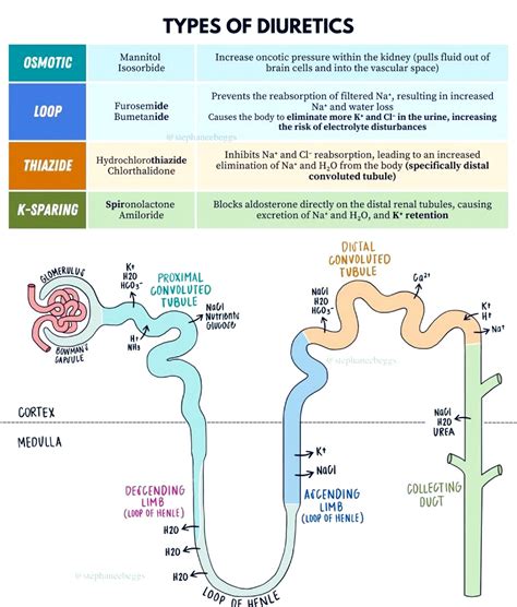 The Addictive Demystifying Diuretics Understanding The Types And Their Benefits 🌿 Diuretics