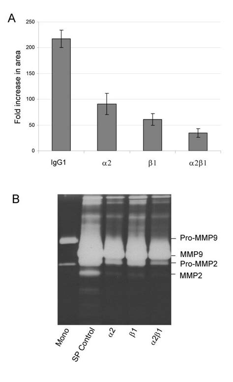 Effect Of Blocking α2 β1 Subunits And α2β1 Integrin On A