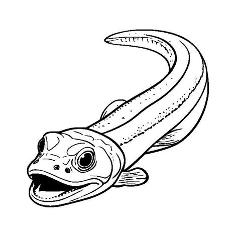 Free Eel Svg K40 Laser Cutter