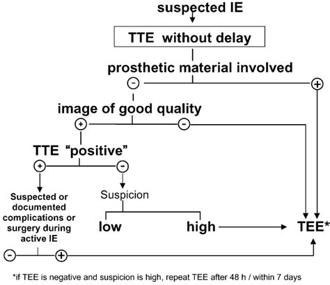 Algorithm For The Use Of Transthoracic Tte And Transoesophageal Download Scientific Diagram