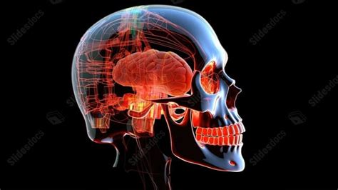analyzing brain tomography x rays a 3d rendering ai robot s perspective