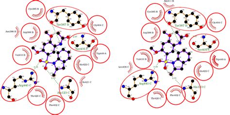 Intermolecular Interaction Patterns Corresponding To The Compound Download Scientific Diagram