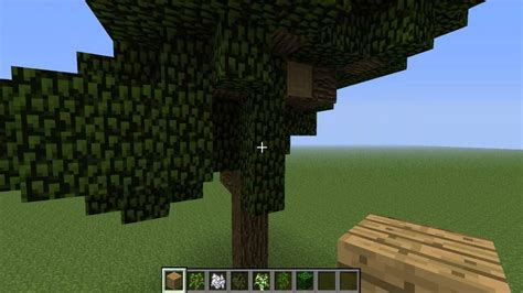 How To Plant A Tree In Minecraft