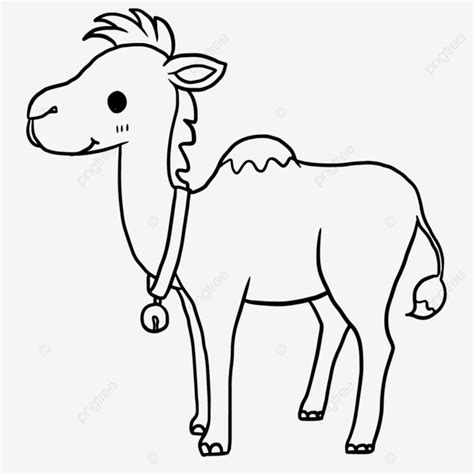 Camel Unta Mewarnai Hewan Dromadaire Dromedario Halaman Haiwan Sketsa