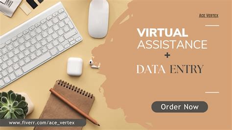 do any excel data entry research copy paste typing and data