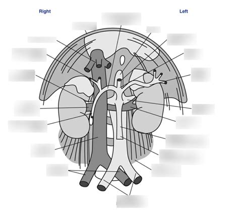 diagram of layering 3 quizlet