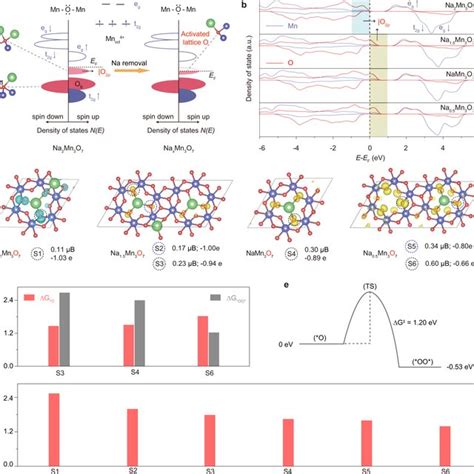Evidence Of Lattice Oxygen As Reaction Site Under Oer Conditions In Download Scientific Diagram