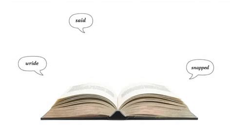 Other Words For Said How To Vary Dialogue Tags For Engaging Writing