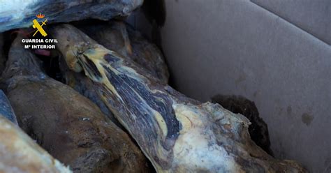 Intervienen Casi Una Tonelada De Jamones En Sevilla Por No Cumplir Las Condiciones De Consumo