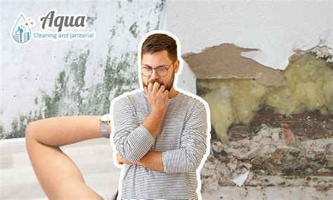 Mold Vs Mildew Whats The Difference Aqua Cleaning And Janitorial