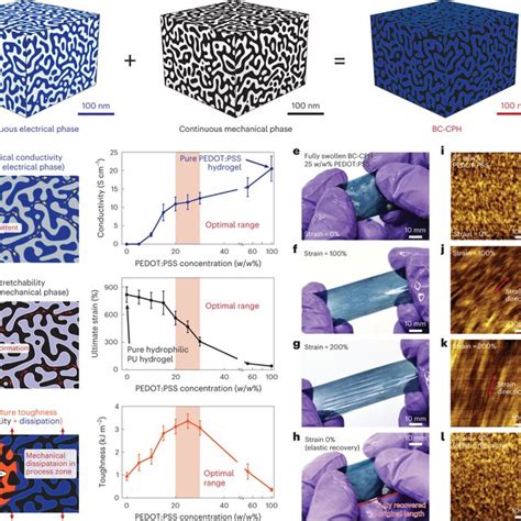 3d Printable High Performance Conducting Polymer Hydrogel For All