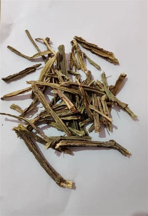 Dry Harjod Cissus Quadrangularis At Rs 60 Kg Dried Root In Tirunelveli Id 2853932276355