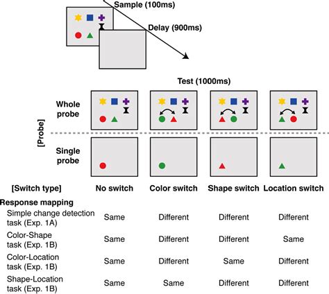 [pdf] feature specific encoding flexibility in visual working memory